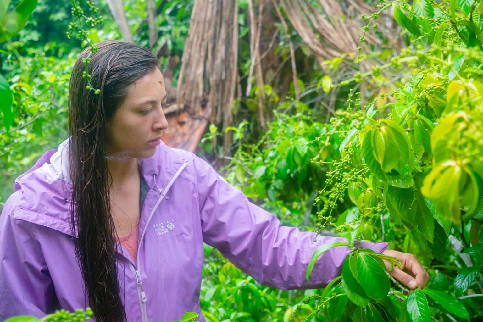 Unlocking the Power of Ancient Plant Medicine | Shamanflora
